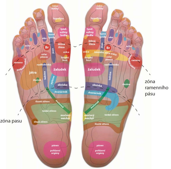 masážní reflexní terapie plosky nohou :: MASÁŽE